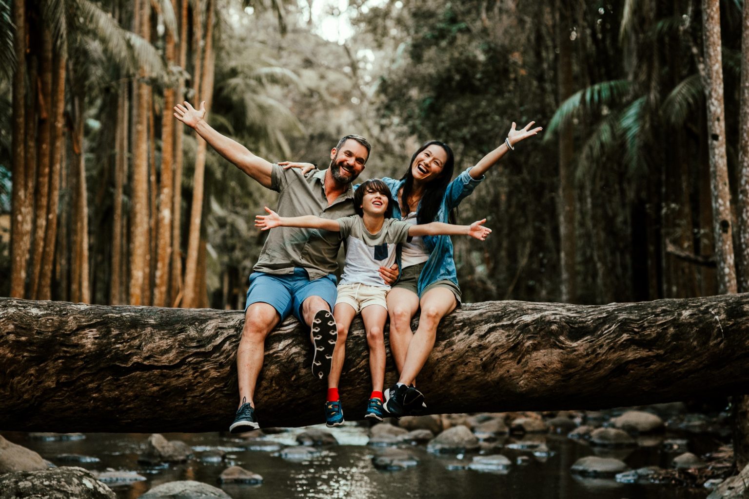 Accommodation | Tamborine Mountain Glades – Tamborine Mountain Glades