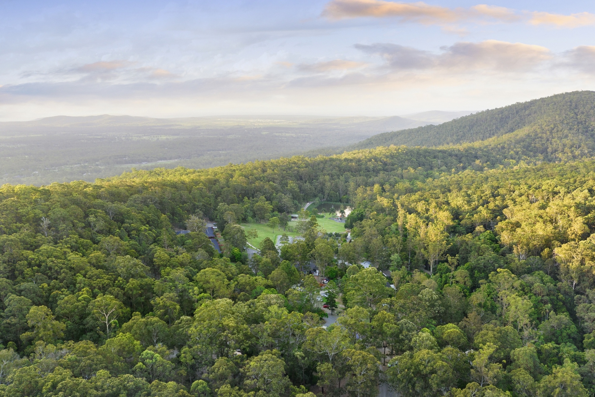 Explore | Tamborine Mountain Glades | Best Tips